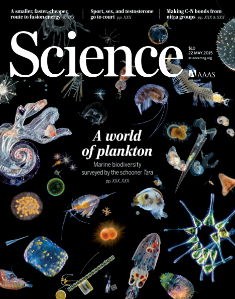 First scientific findings of the Tara Oceans expedition published in ...