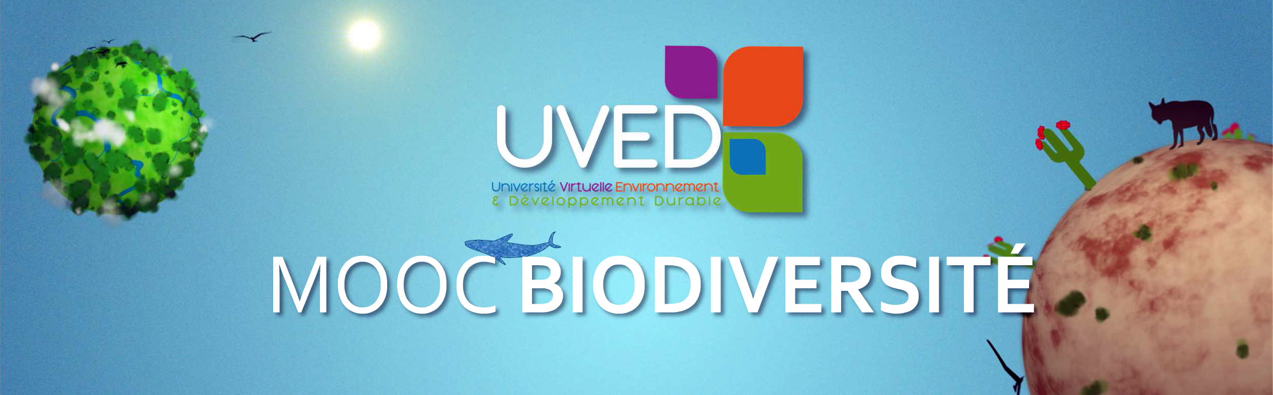 The "biodiversity" MOOC launched by UVED with the support of the ...