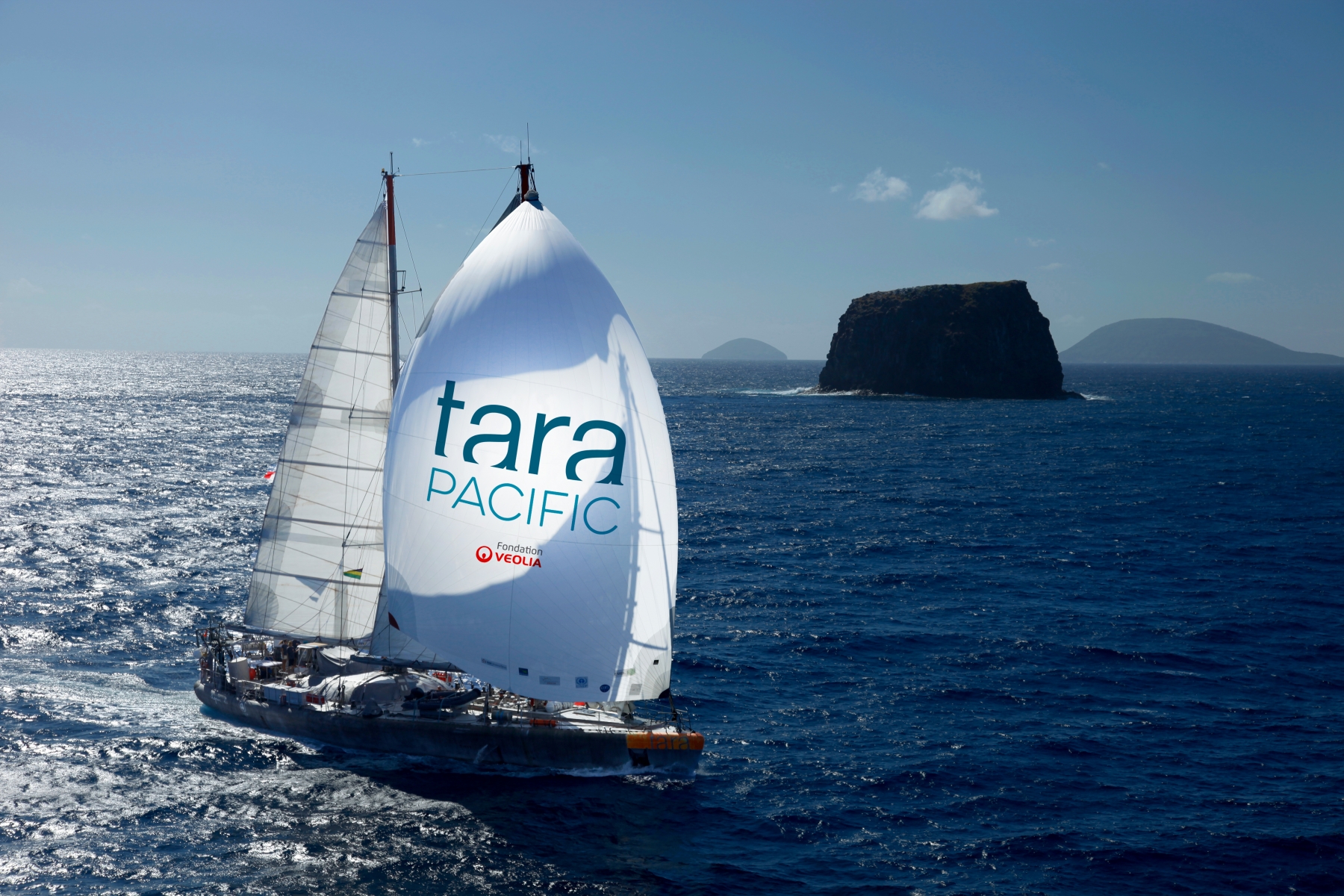 First assessment at the halfway point of the Tara Pacific mission ...