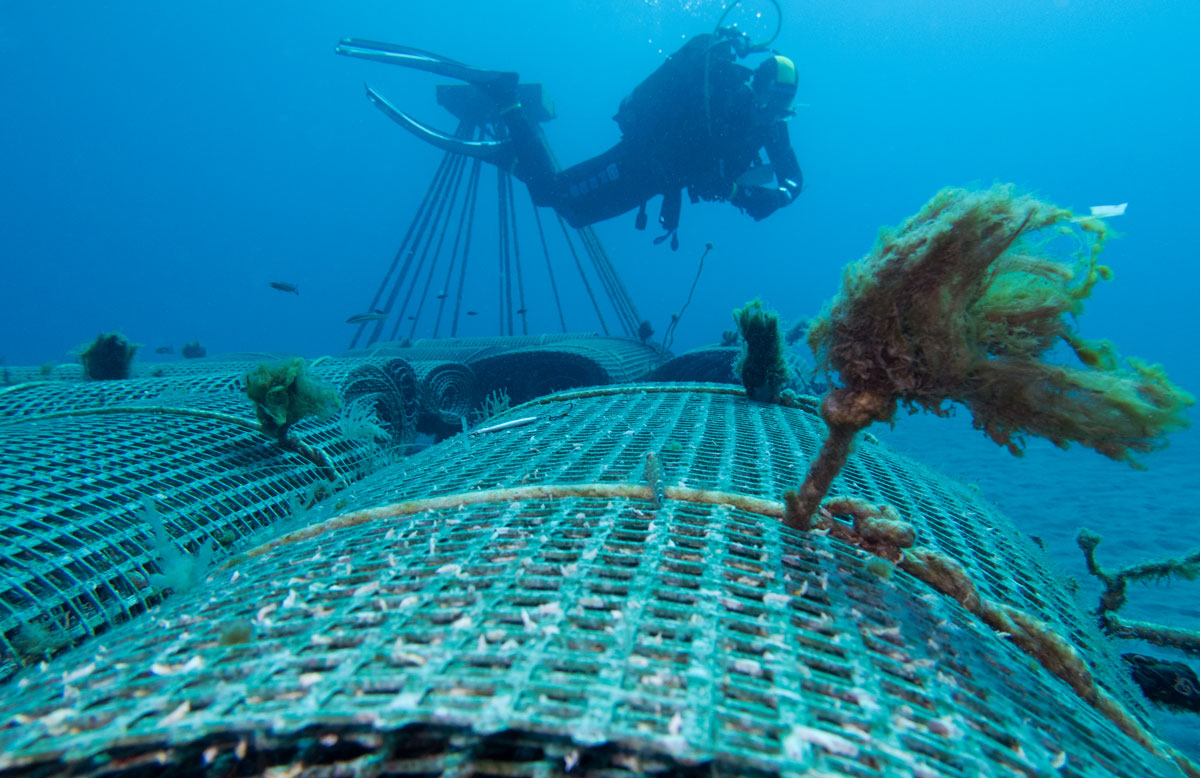 Redonner vie au milieu marin à Toulon - Fondation Veolia