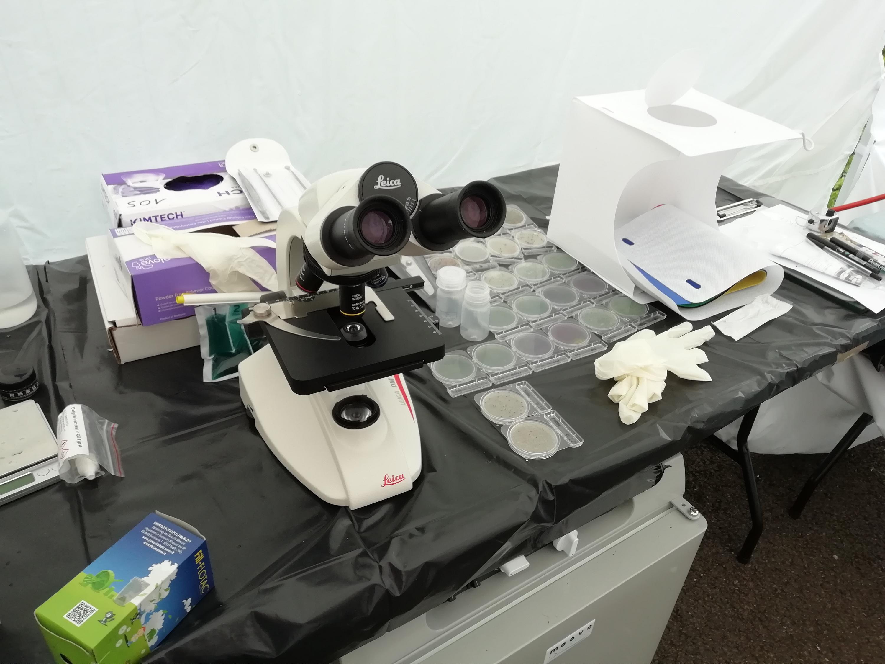 Sanitation: a new field laboratory for humanitarian aid | Fondation Veolia